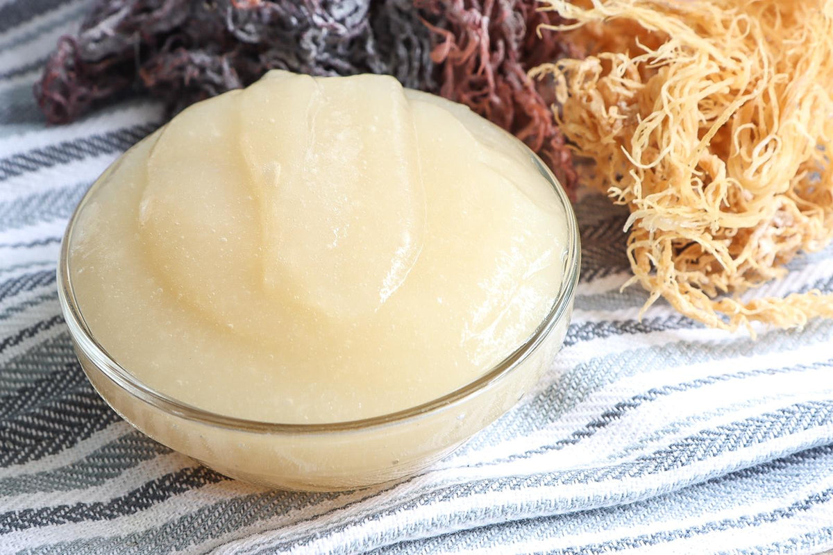 Unveiling the Power of Raw Sea Moss: A Step-by-Step Guide to Preparati ...