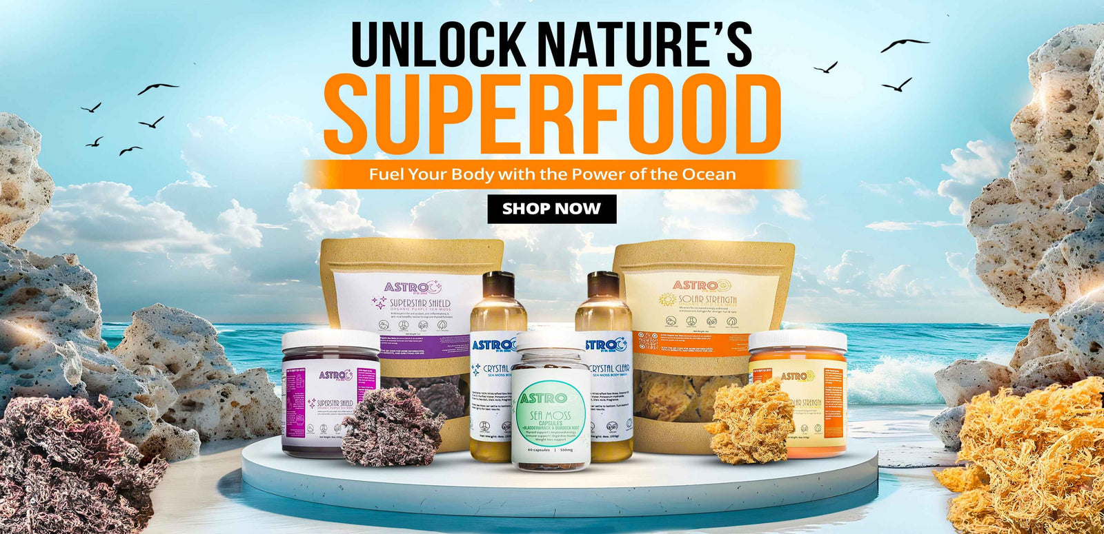 'Astro Brand' Best Selling Sea Moss Products – Astro Brand